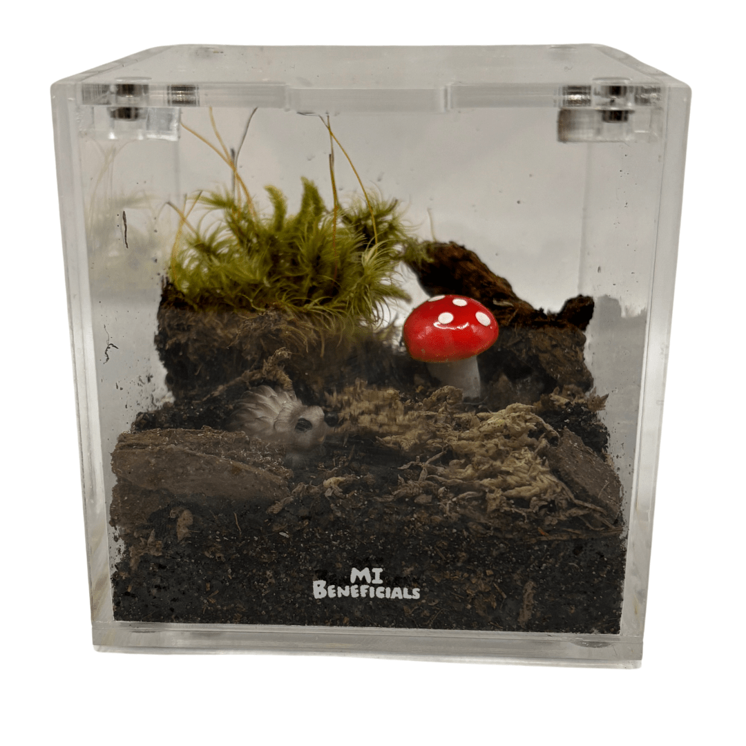 Springtail Supplies – MI Beneficials