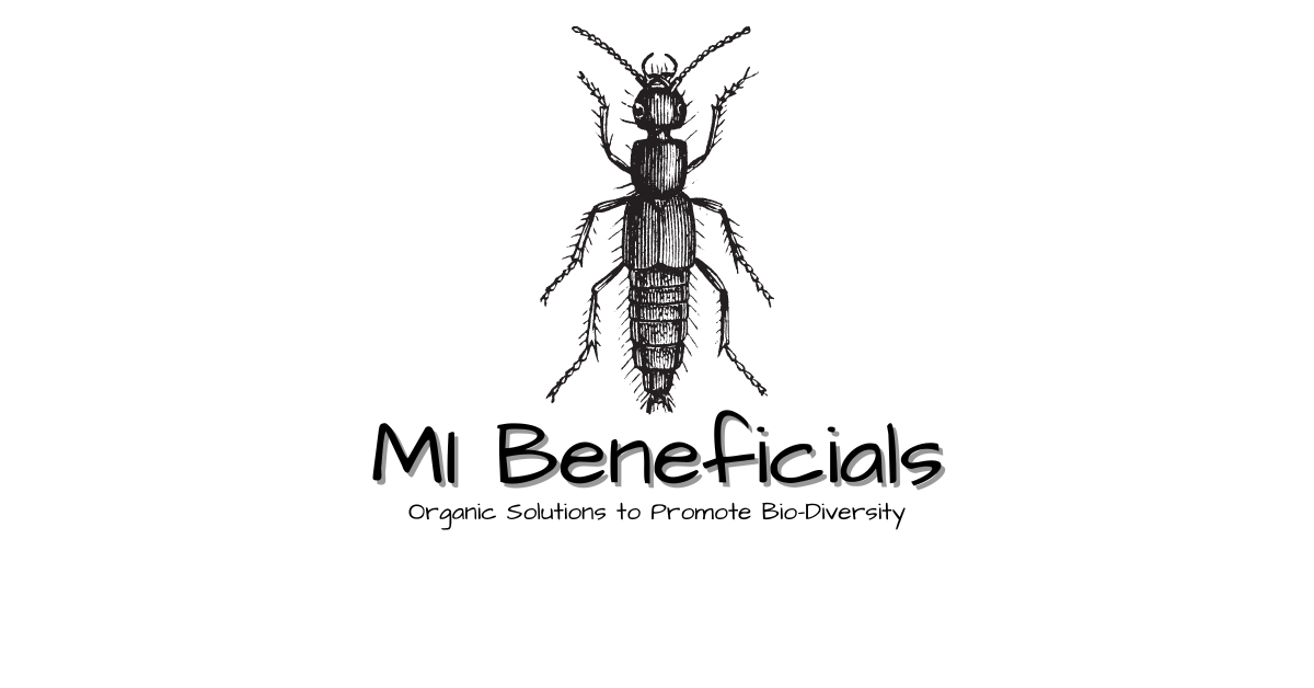 How to Apply your Predator Mite BioVial – MI Beneficials