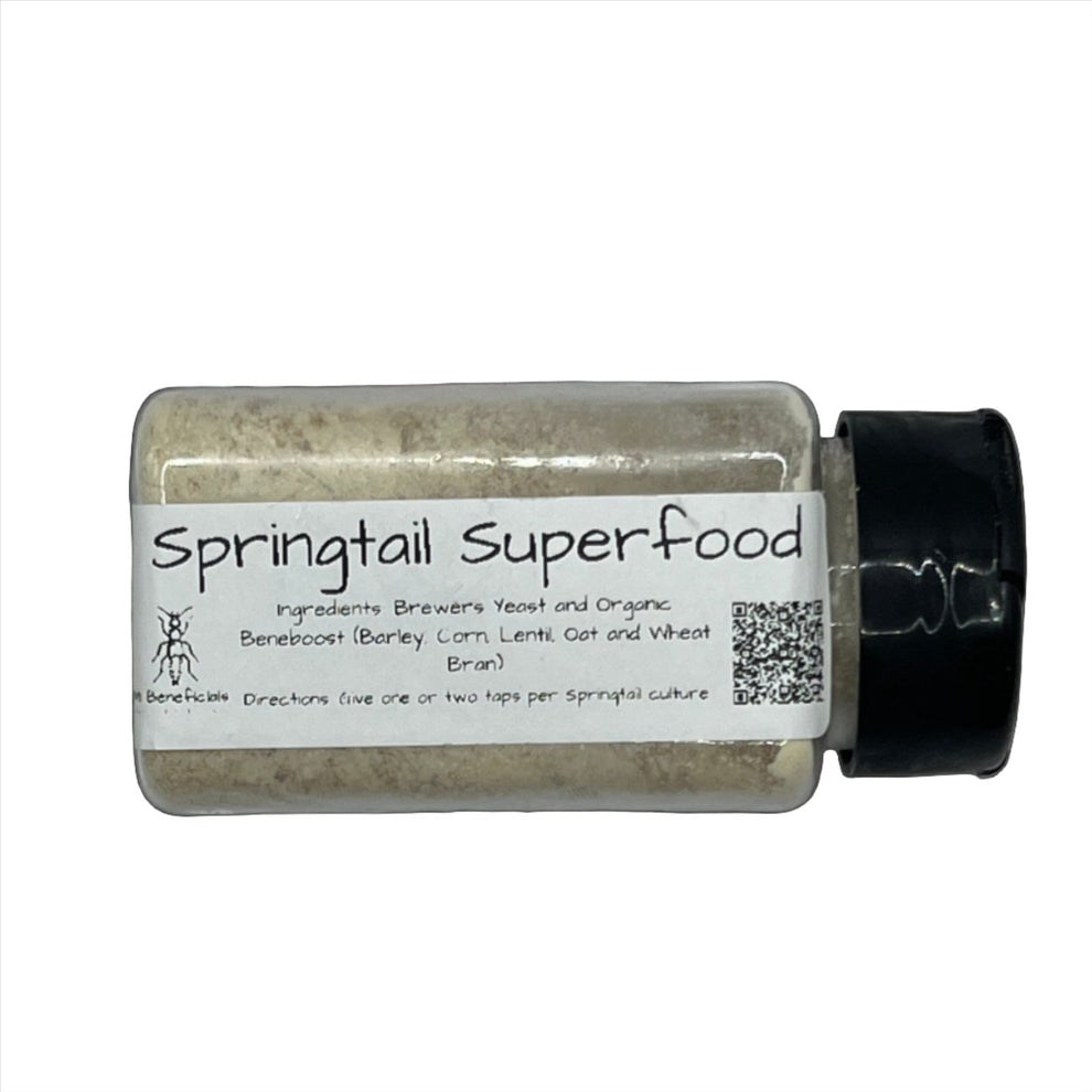 Temperate Springtail Superfood – MI Beneficials