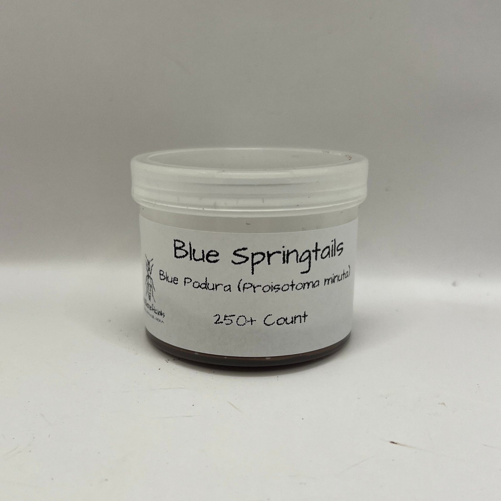Blue Podura Springtails (Proisotoma minuta) – MI Beneficials