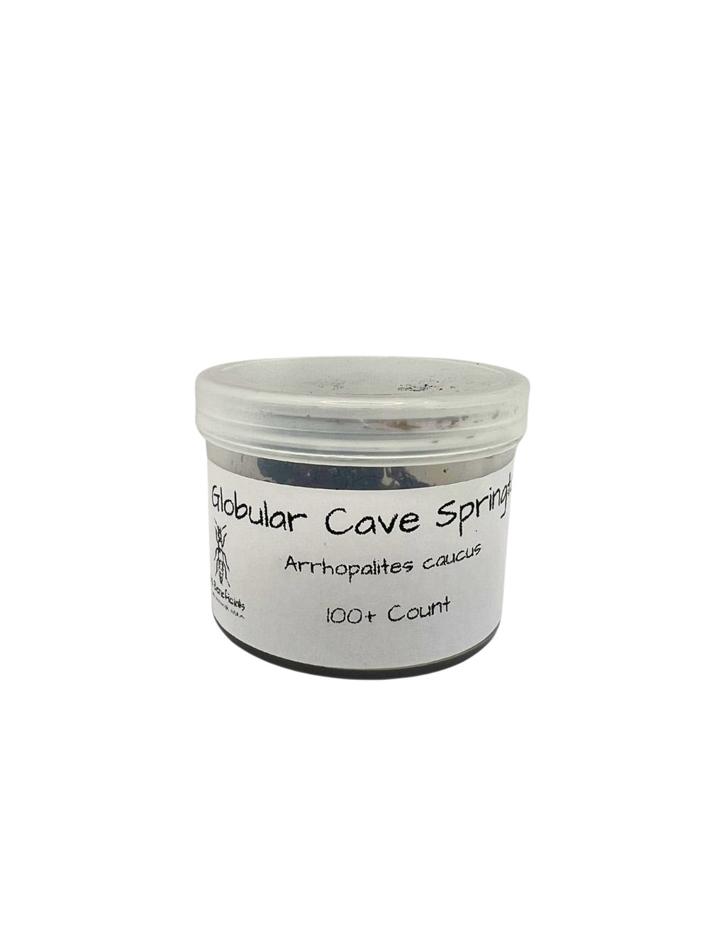 Globular Cave Springtails (Arrhopalites caucus) – MI Beneficials
