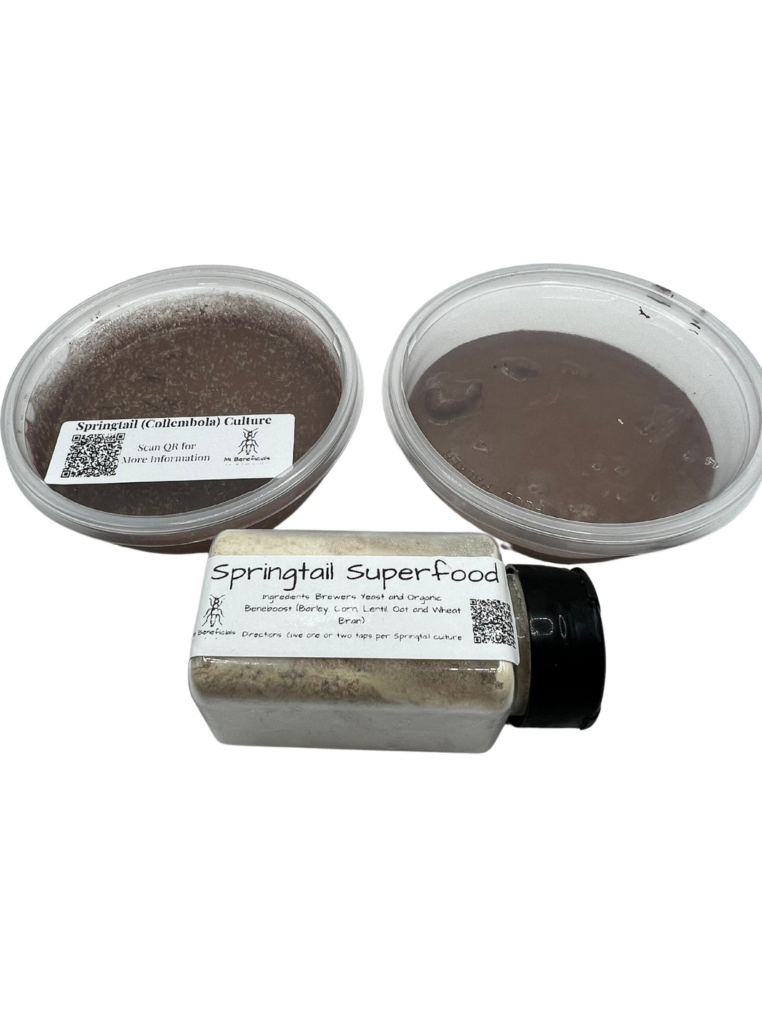 How to Use Aloe in the Garden (And Why You Absolutely Should) – MI ...